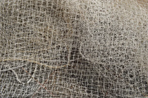 Nylon white Mesh Net used to protect kitchen garden or balcony from ...