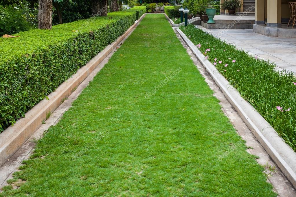 Green grass Pathway in a Lush Green Park — Stock Photo © tortoon #33782289