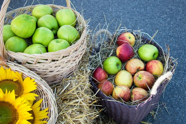 Apples and sunflowers in the baskets. Harvest on the haystack - Stock ...