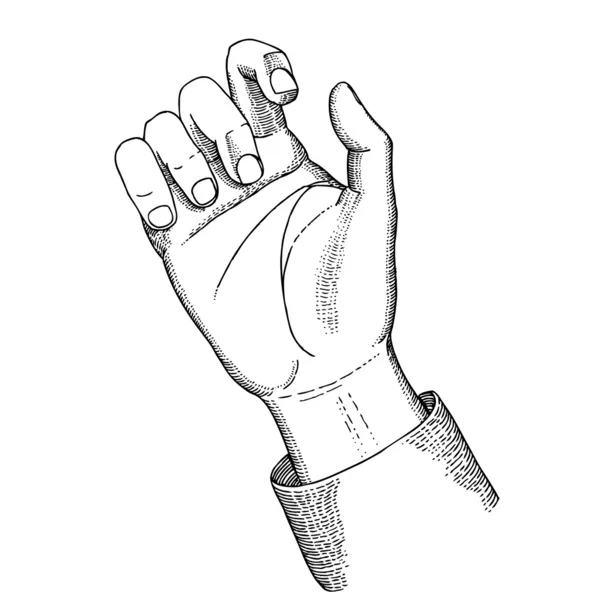 Left Hand Drawing Outline
