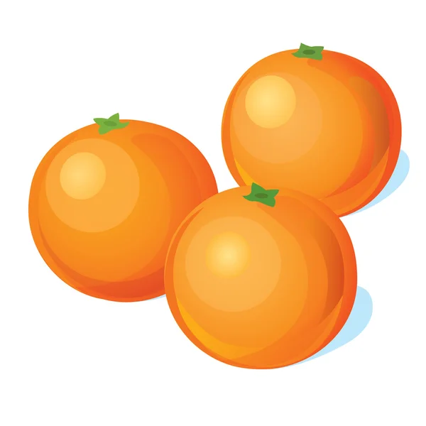 Oranges Vector Art Stock Images | Depositphotos