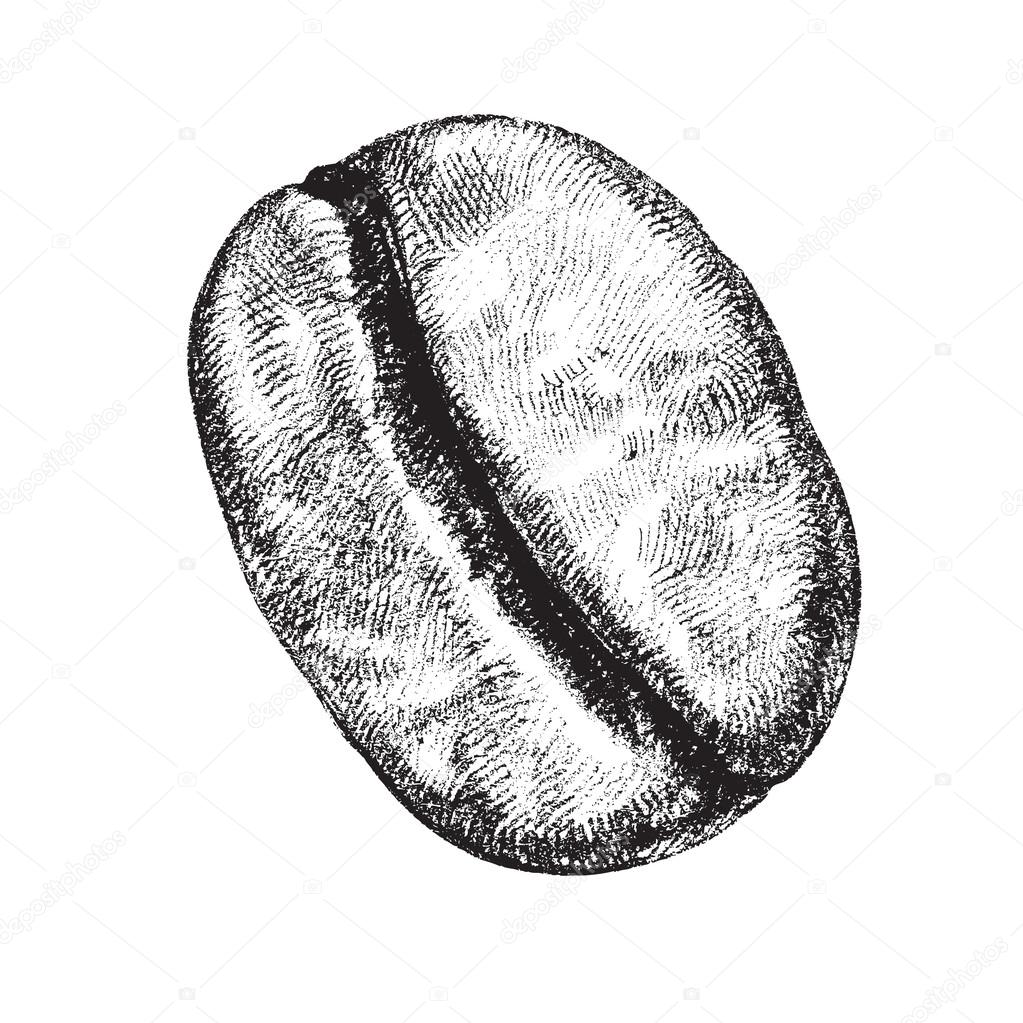 Vintage coffee bean — Stock Vector © paulartworks #33682663