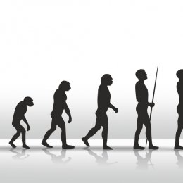 Imágenes de Evolución, fotos de Evolución sin royalties | Depositphotos