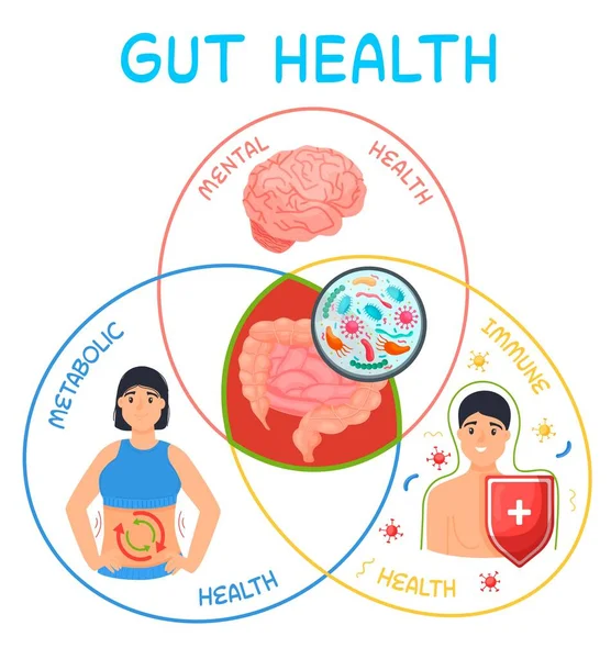 Gut health Vector Art Stock Images | Depositphotos