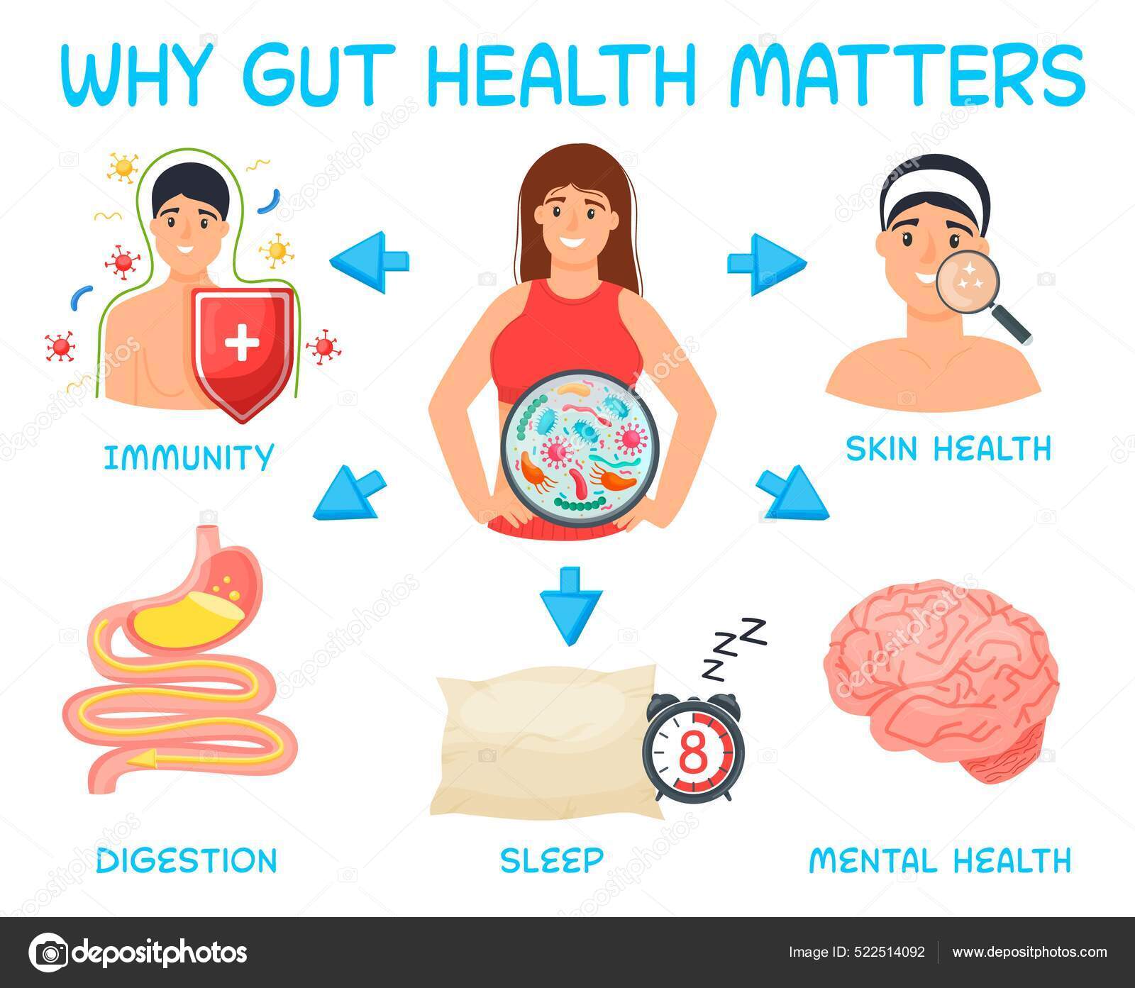 Why gut health matters. Landscape poster. Medical infographic. Stock ...