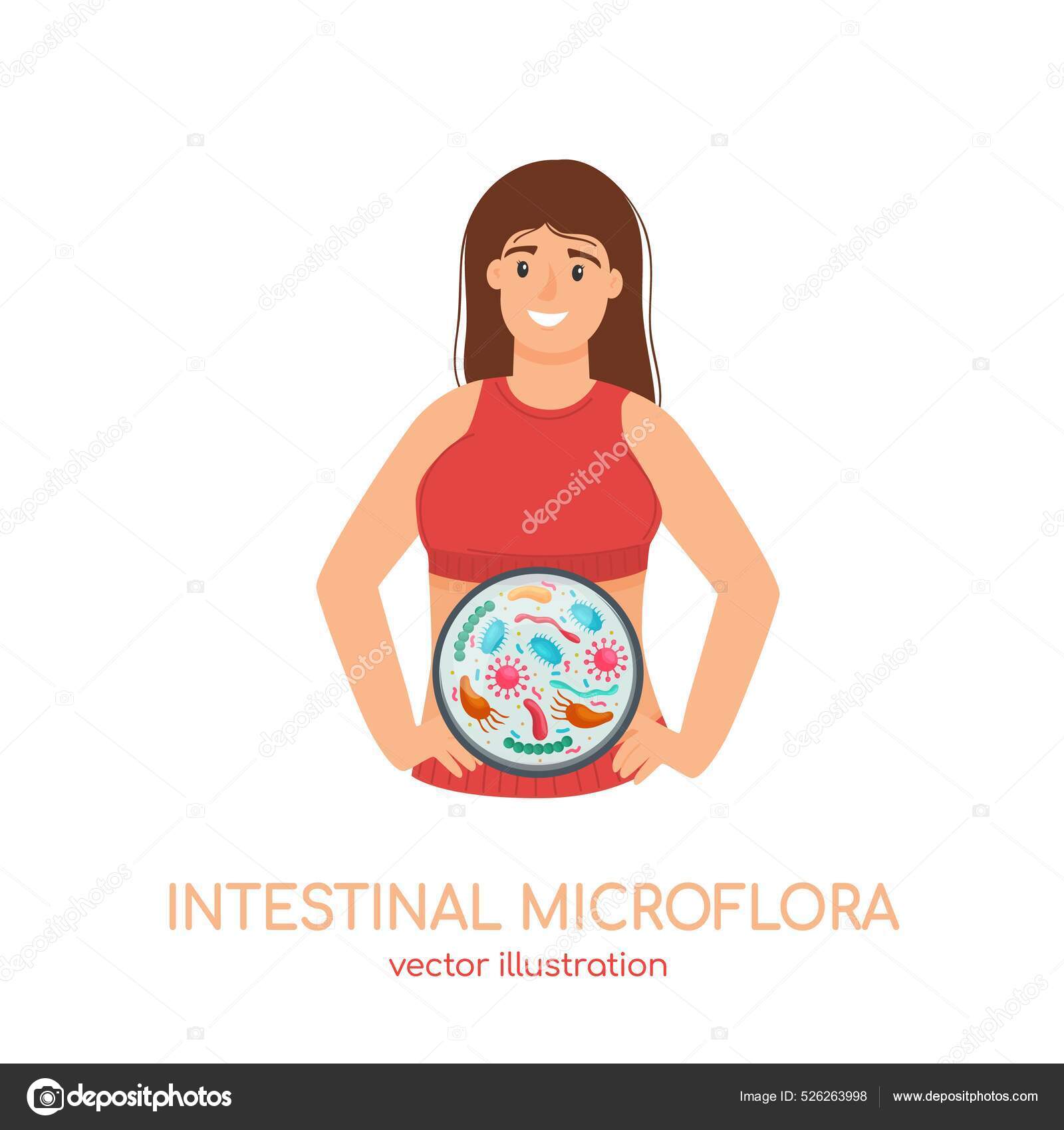 Intestinal microflora. Healthy digestion, good microbiota. Advertising ...