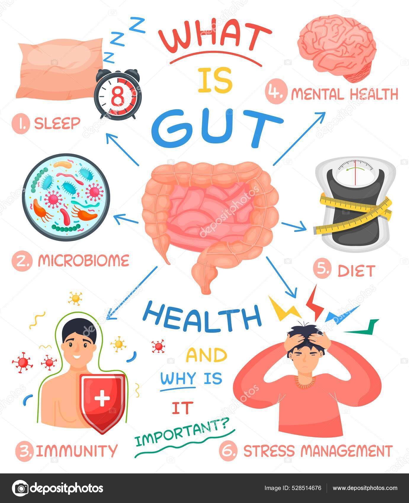 Gut health medical infographics set. Care components about bowel for ...