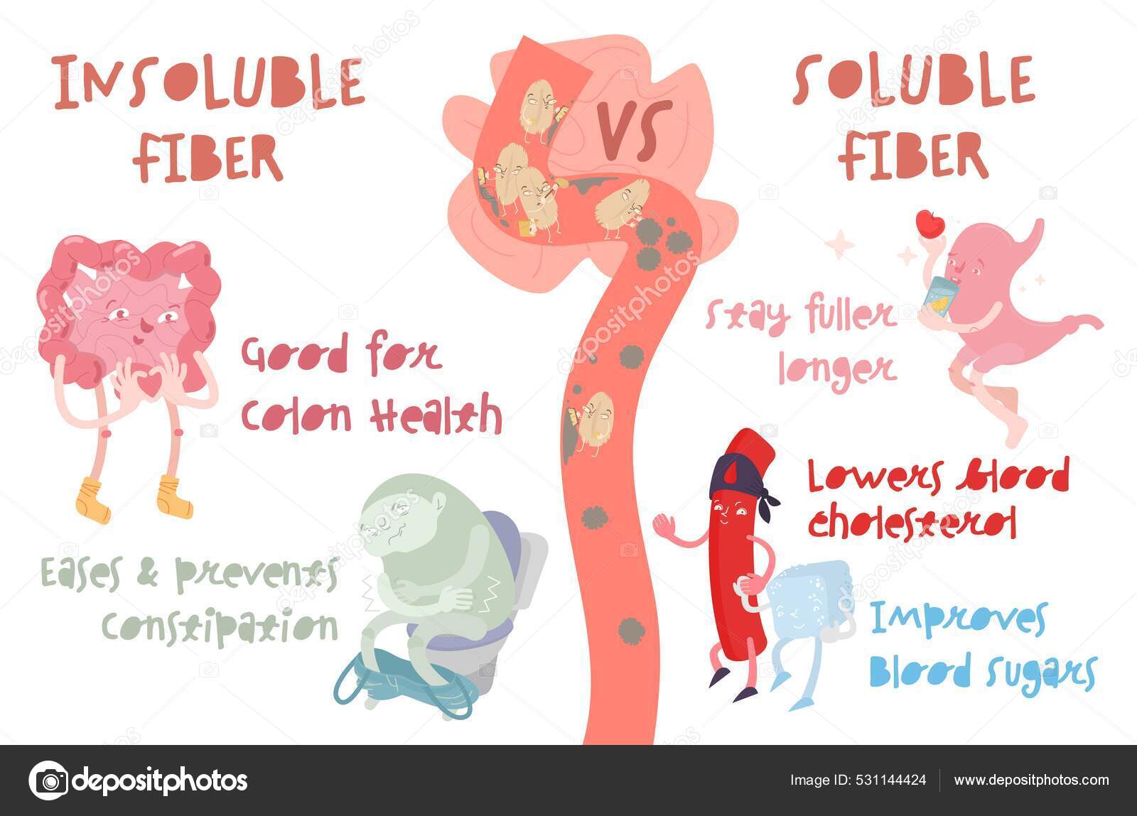 Dietary fibre horizontal poster. Soluble, insoluble fiber banner. Stock ...