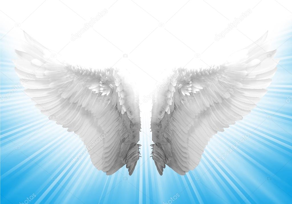 Angel wing Stock Photo by ©vichly 34251317