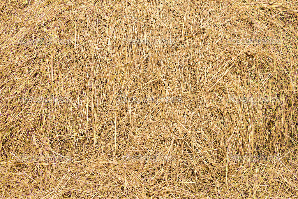 Straw texture background — Stock Photo © vichly #41220777