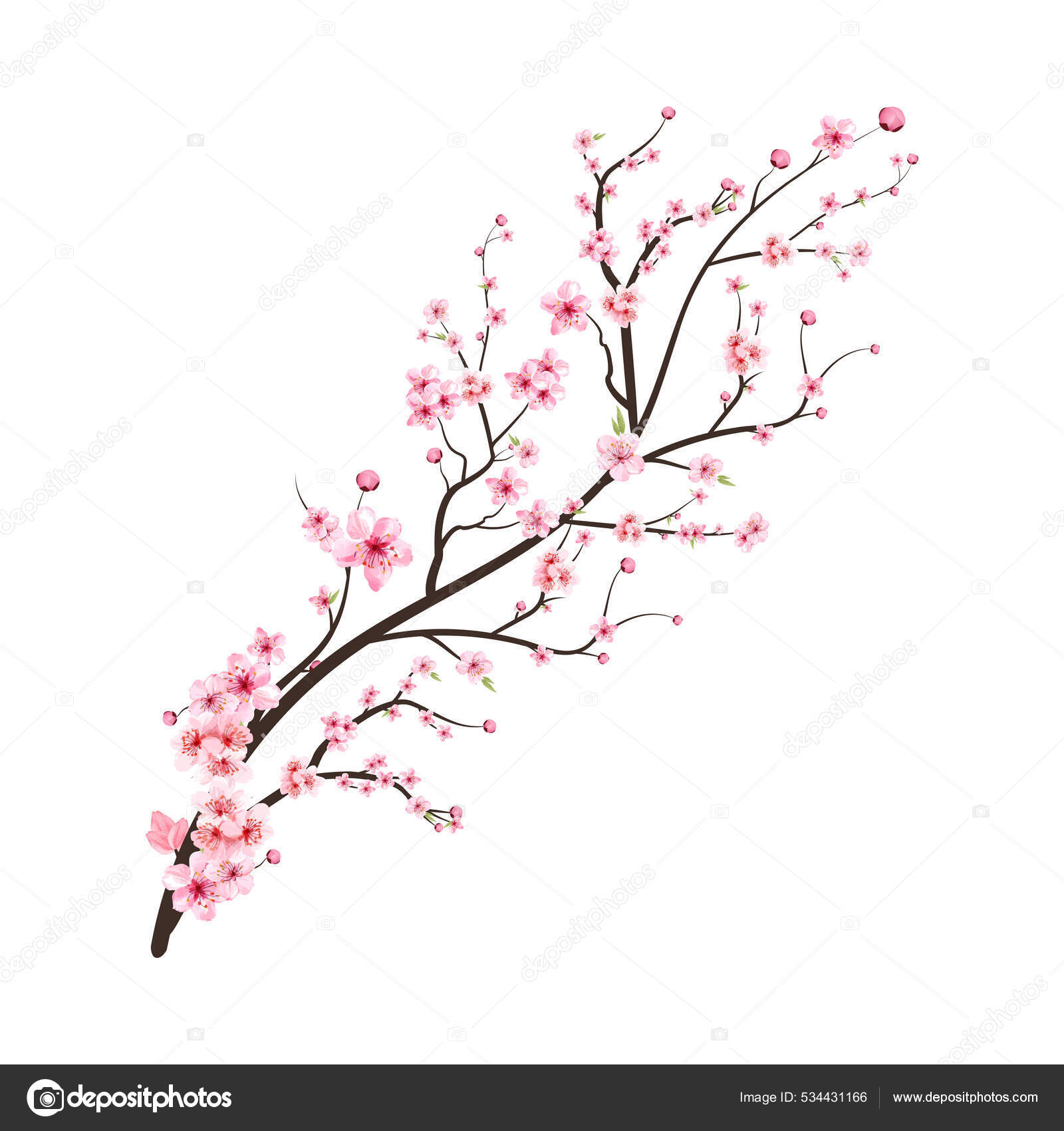 Rama Flor Cerezo Con Vector Flores Sakura Rosa Rama Realista Vector de ...