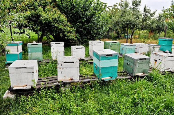 Romania bee hives Stock Photos, Royalty Free Romania bee hives Images ...