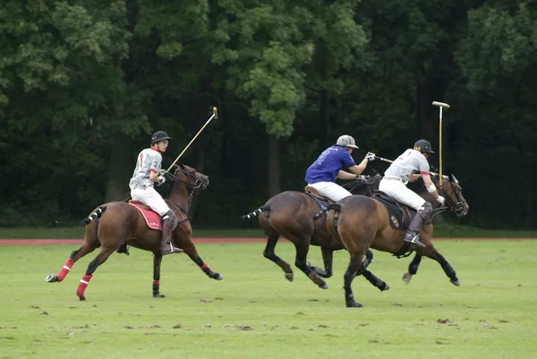 Polo game Stock Photos, Royalty Free Polo game Images | Depositphotos