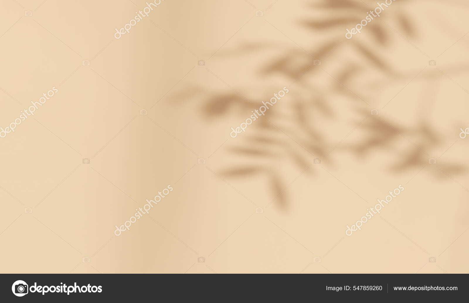 Silueta Abstracta Sombra Fondo Blanco Hojas Naturales Rama Árbol ...