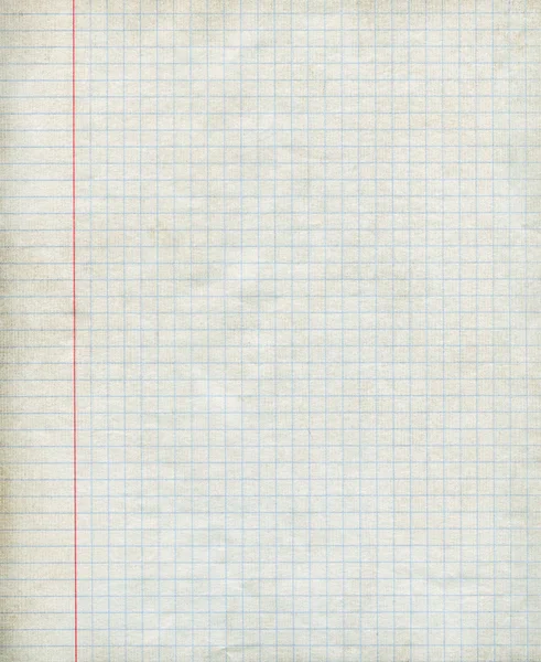Detailed blank math paper sheet — Stock Photo © binik1 #126483848