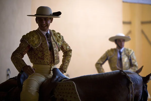 Picador Stock Photos, Royalty Free Picador Images | Depositphotos®