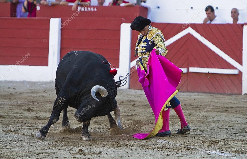El torero español Curro Díaz con la muleta en la Plaza de Toros de ...