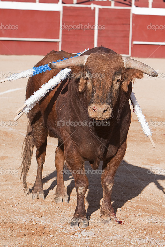 Brave bull in a bullfight — Stock Photo © digicomphoto #34501021