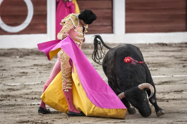 Bullfighter Stock Photos, Royalty Free Bullfighter Images | Depositphotos