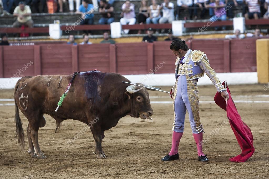 Spainish bullfighter David Valiente placing his sword on the head of ...
