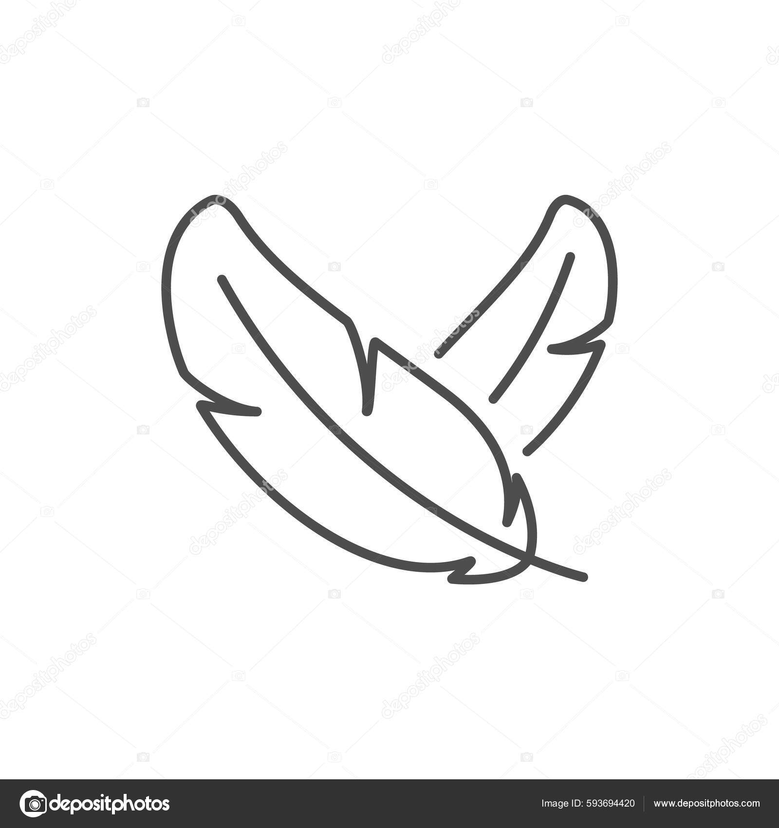 Bird Feathers Line Outline Icon Isolated White Vector Illustration ...
