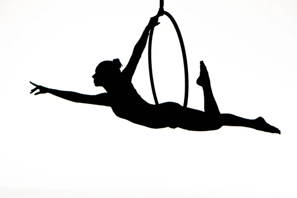 Aerial hoop silhouette Stock Photos, Royalty Free Aerial hoop ...