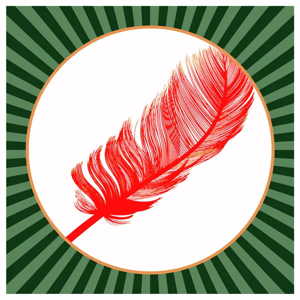 Parrot feather Stock Vector Image by ©suriko #5103658