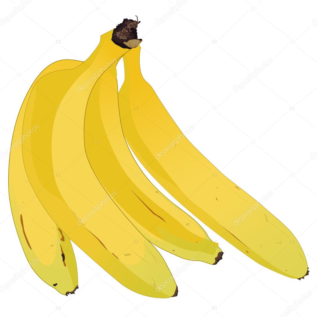 Four Bananas