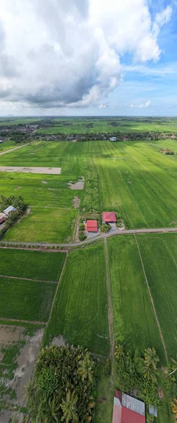 Philippines fields Stock Photos, Royalty Free Philippines fields Images ...