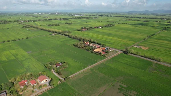 Philippines fields Stock Photos, Royalty Free Philippines fields Images ...