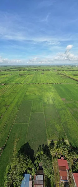 Philippines fields Stock Photos, Royalty Free Philippines fields Images ...