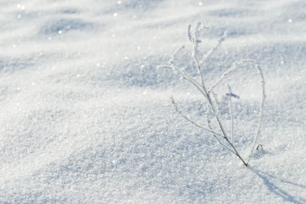 Snow water Stock Photos, Royalty Free Snow water Images | Depositphotos®