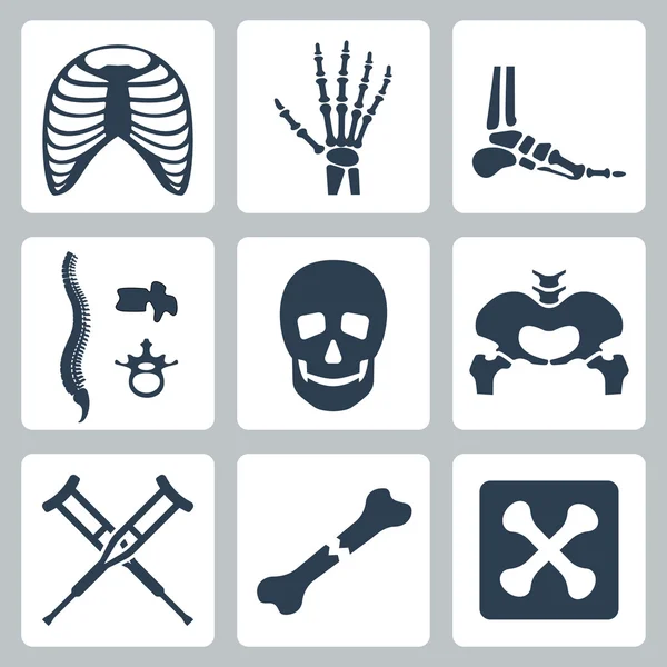 Skeleton pictogram Stock Photos, Royalty Free Skeleton pictogram Images ...