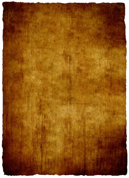 Bright papyrus paper texture Stock Photo by ©RChvision 35558337