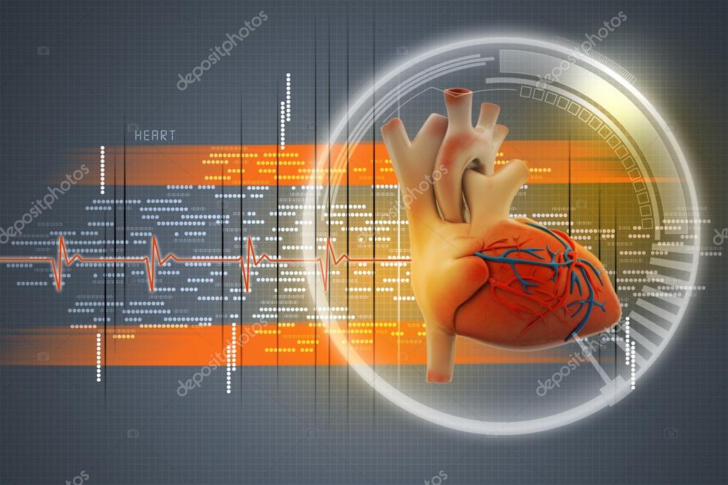 Corazón humano — Foto de stock © cuteimage1 #49443579