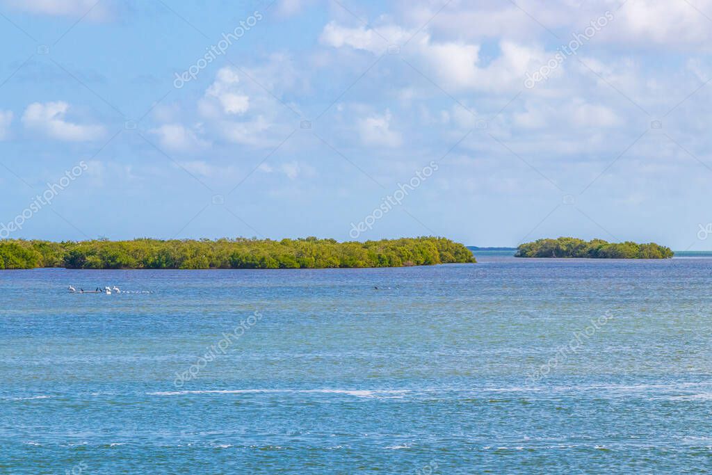 Vista panorámica del paisaje en la hermosa isla Holbox con naturaleza ...