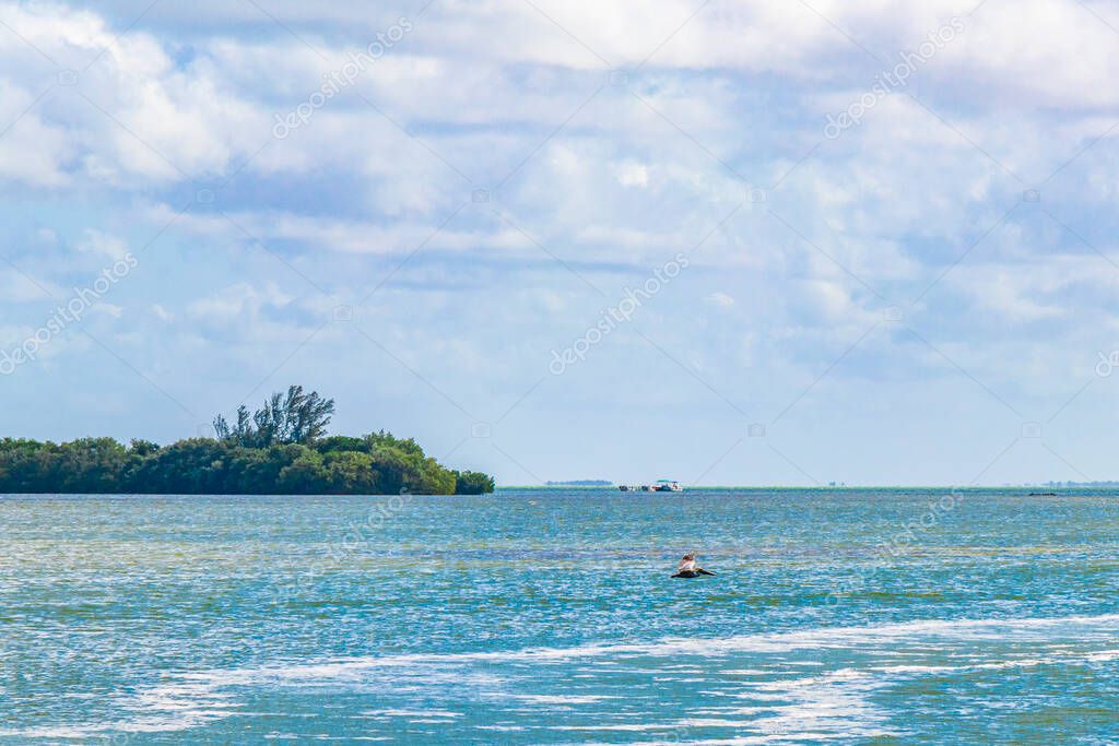 Vista panorámica del paisaje en la hermosa isla Holbox con naturaleza ...