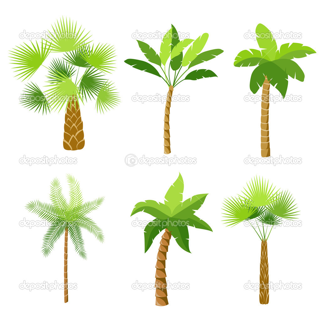 Decorative palm trees icons set — Stock Vector © macrovector #42748245 Decorative palm trees icons set — Stock Vector © macrovector #42748245