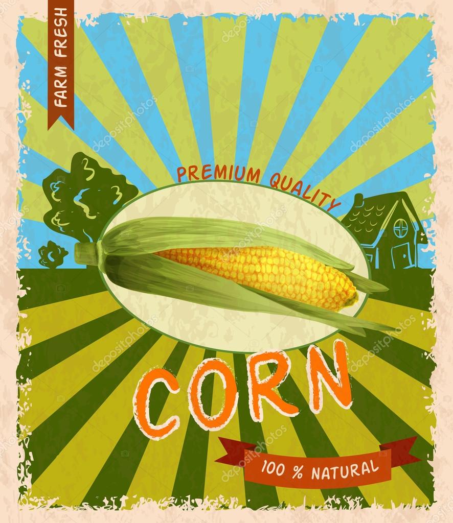 Corn retro poster — Stock Vector © macrovector #48734011