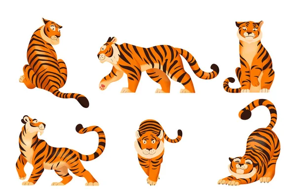 Tiger tail Vector Images | Depositphotos
