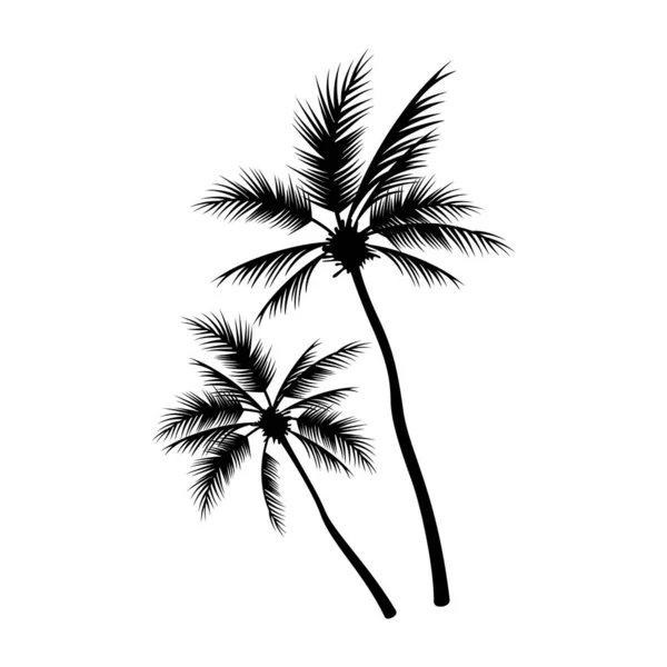 100,000 Palm line Vector Images | Depositphotos