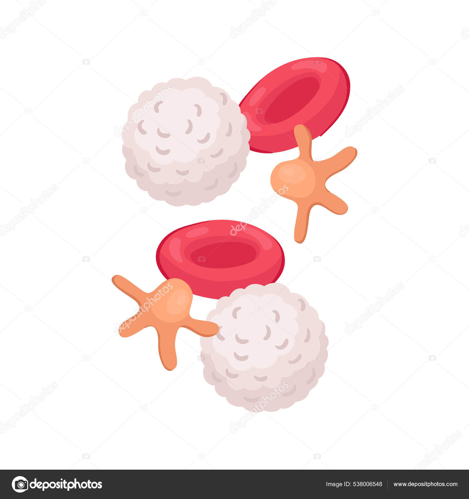 Células sanguíneas Composición isométrica Vector de Stock de ...