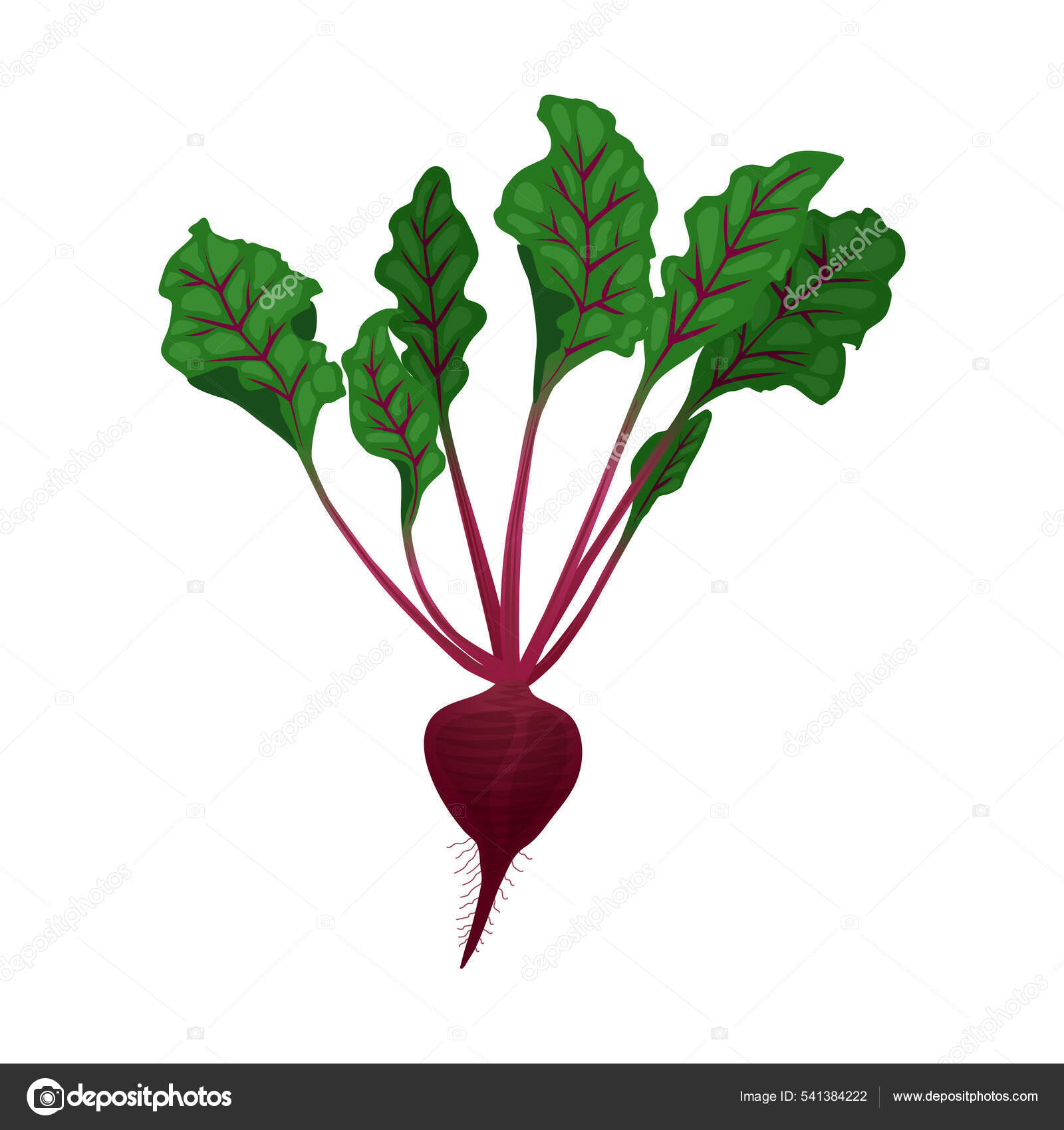 Ilustración plana de remolacha Vector de stock #541384222 de ©macrovector