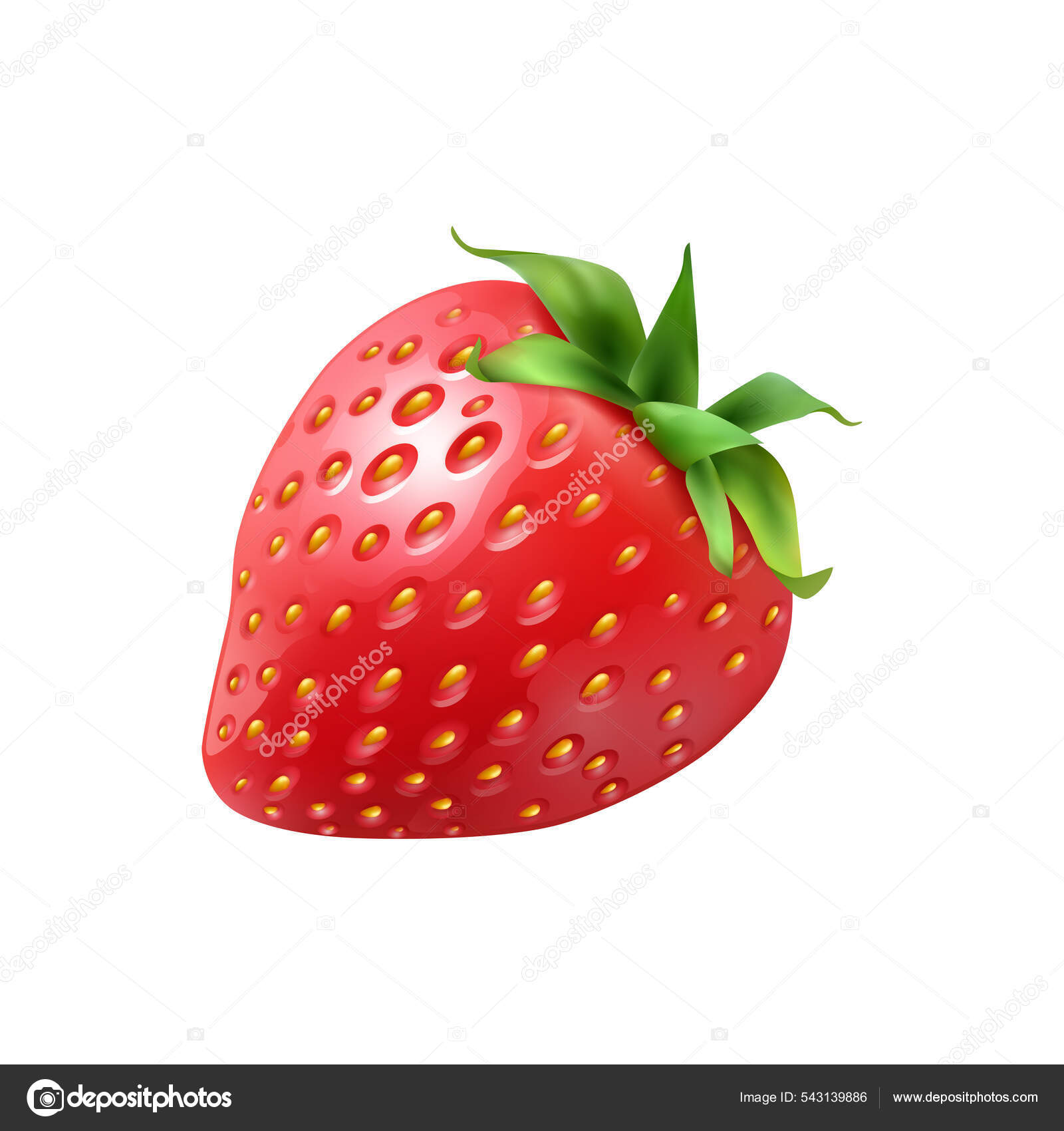 Ilustración realista de fresas Vector de stock por ©macrovector 543139886