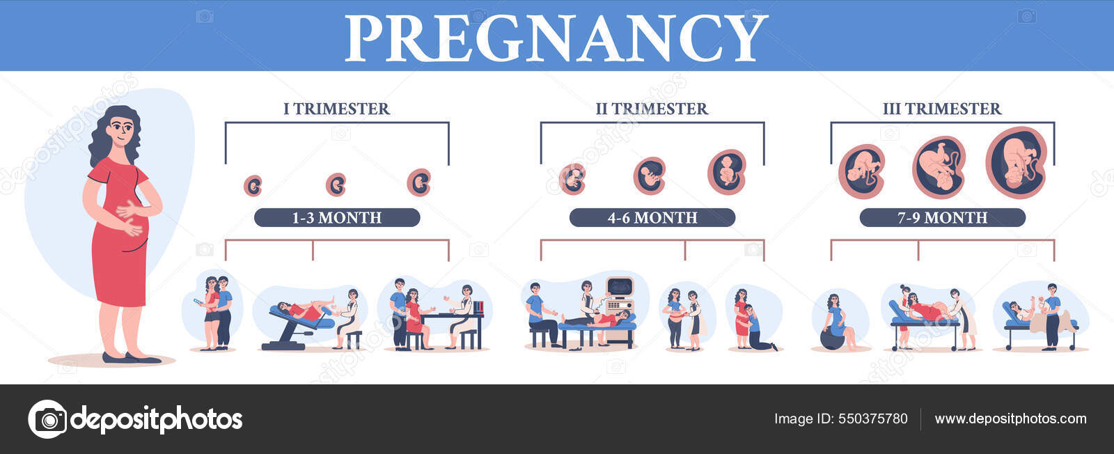 Timeline Of Pregnancy Composition Stock Vector by ©macrovector 550375780