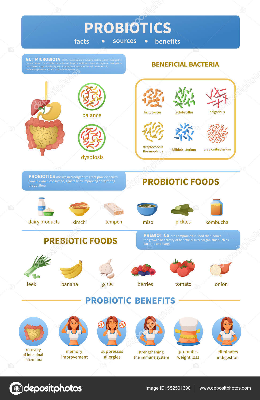 Probiotics Cartoon Icons Infographics Stock Vector by ©macrovector ...