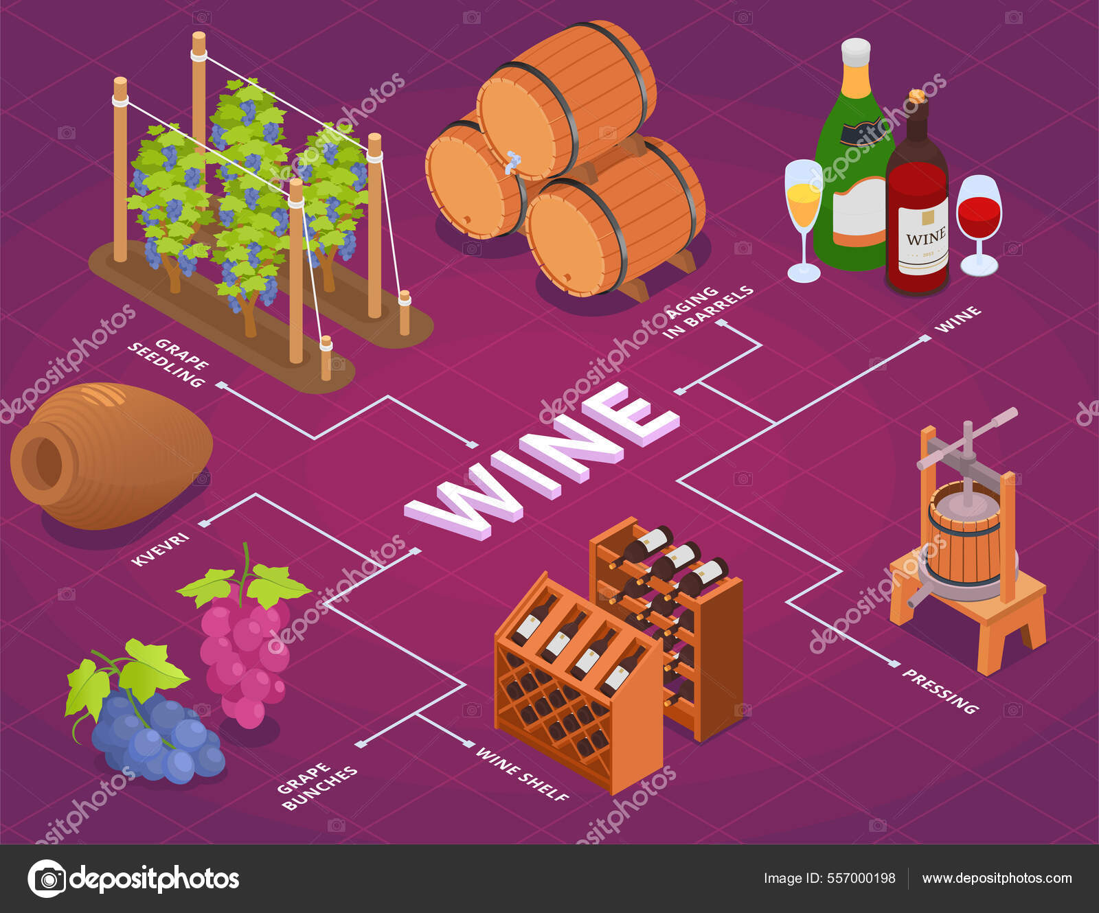 Wine Production Flowchart Stock Vector by ©macrovector 557000198