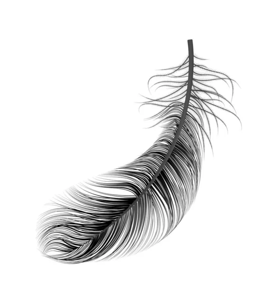 Realistic Feather Illustration Stock Vector by ©macrovector 558694102