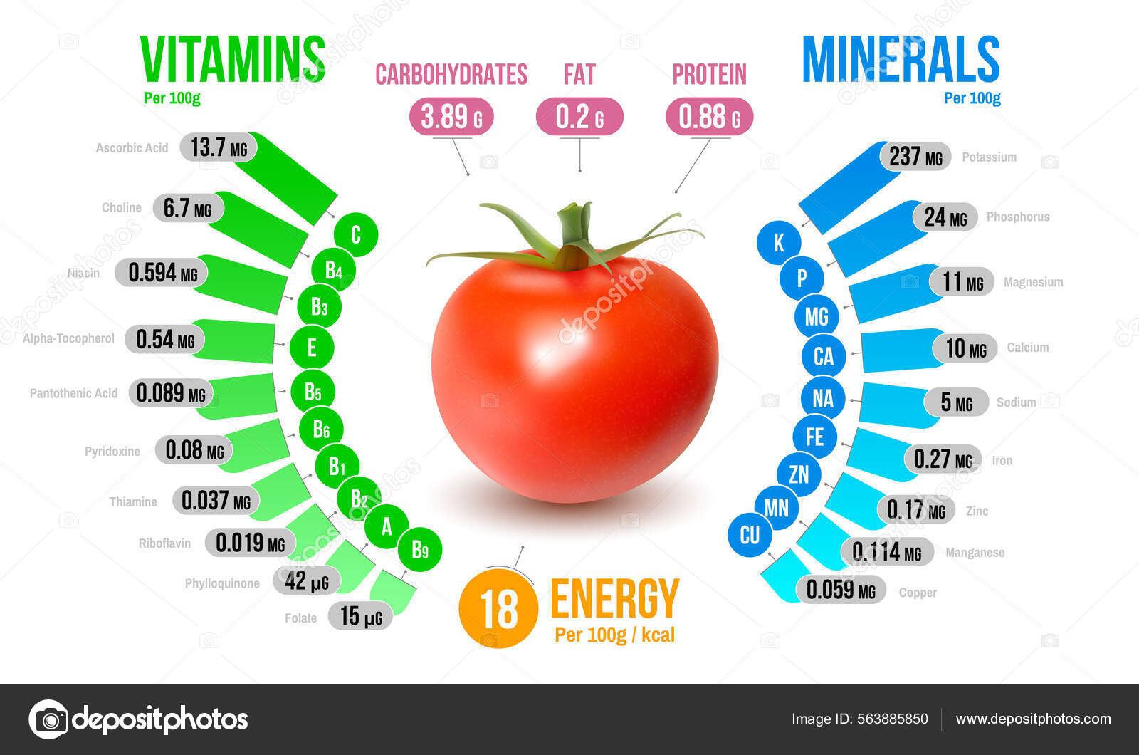 Tomato Nutrients Infographics Diagram Stock Vector by ©macrovector ...