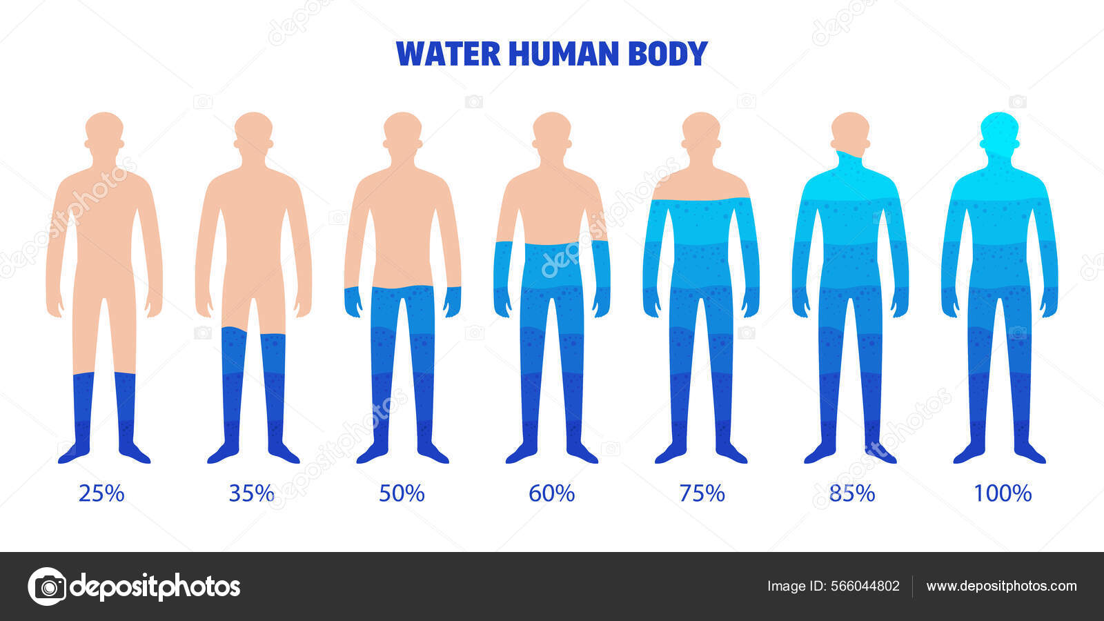 Human Body Water Set Stock Vector Image by ©macrovector #566044802